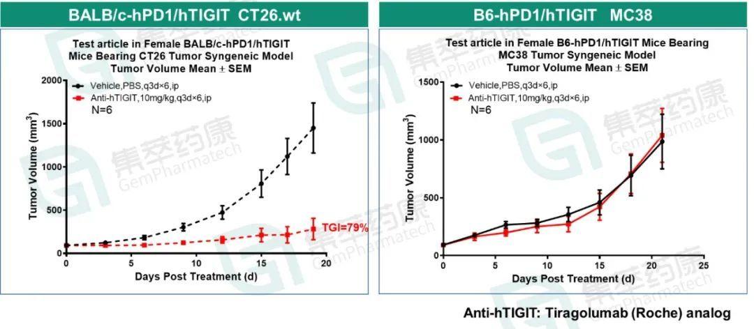 B6和BALB/c, 另外两只小鼠的江湖（上） - 知乎