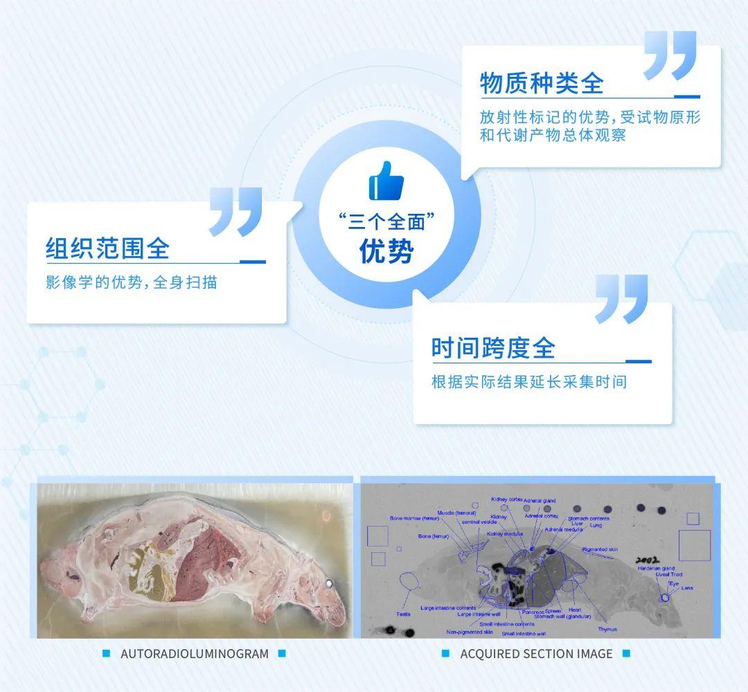 定量全身放射性自显影技术（QWBA）使组织分布实现可视化 - 知乎