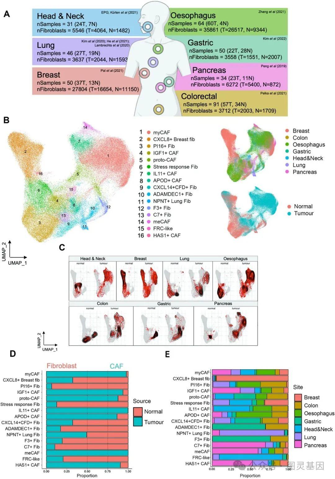 Mol Cancer | 单细胞及空间分析揭示：免疫热/冷肿瘤的成纤维亚型与免疫微环境及免疫治疗应答相关 - 知乎