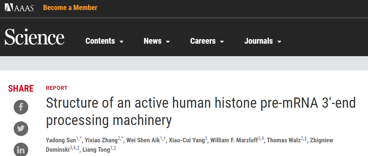 Science | 揭示histone pre-mRNA 3'端加工的分子机制 - 知乎