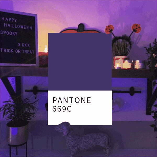 Boo！万圣节色彩攻略，稳中求胜的秘密武器！ - 知乎