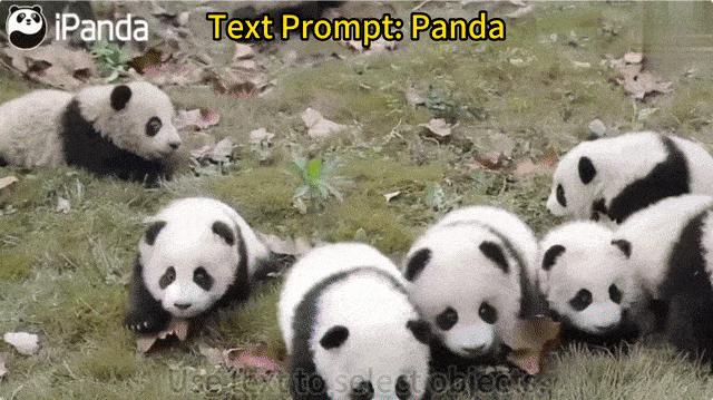 视频分割大结局！浙大最新发布SAM-Track：通用智能视频分割一键直达 - 知乎