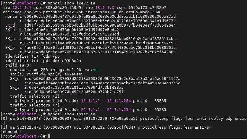 CPU0实锤了！VPP这个精致的单核英雄主义者！！ - 知乎
