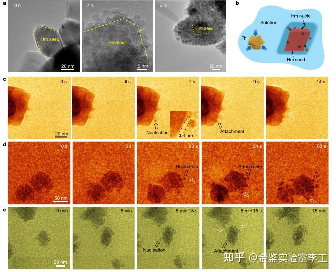Nature：原位TEM，看见晶体生长！ - 知乎