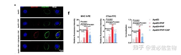 CTB标记脂筏(LR)解决方案 - 知乎