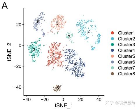 聚焦生信 | 肿瘤恶性细胞鉴定-inferCNV原理及应用全面教程-附代码 - 知乎