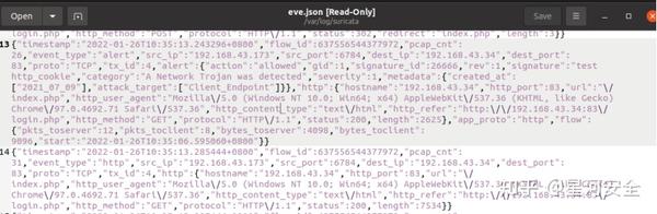 快速入门Suricata规则 - 知乎