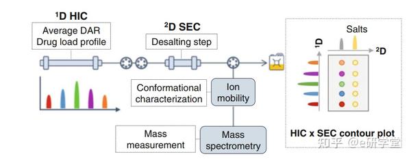 二维液相色谱与高分辨质谱联用表征分析抗体偶联药物（ADC） - 知乎