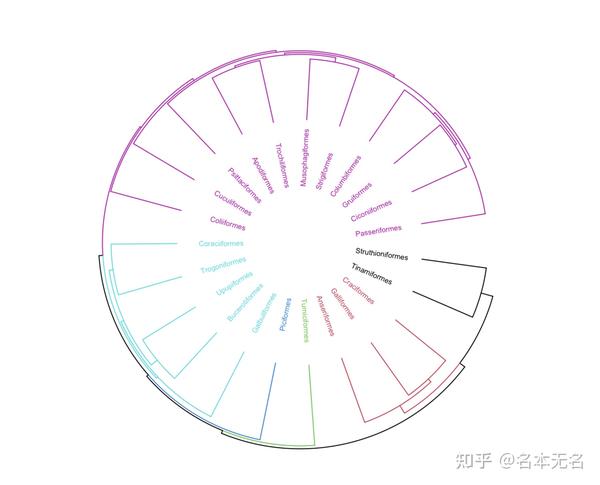R 数据可视化 —— circlize 复杂图形与图例 - 知乎