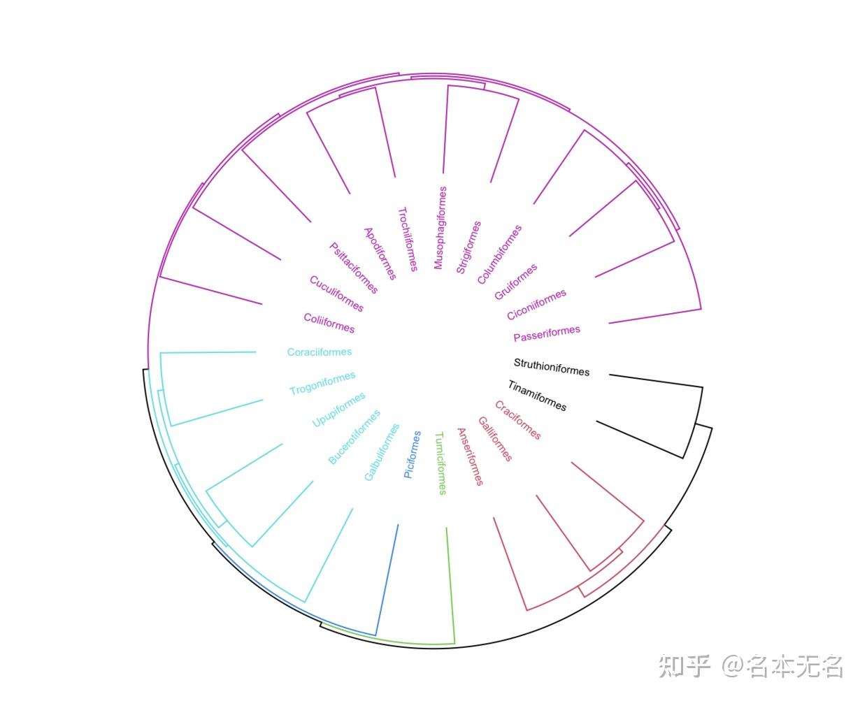 R 数据可视化 —— circlize 复杂图形与图例 - 知乎