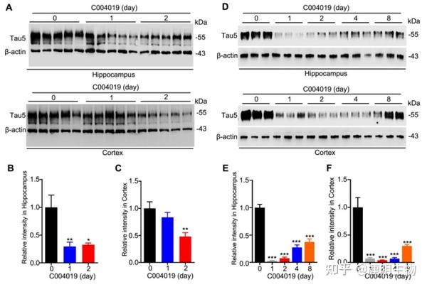 PROTAC降解组学促进tau清除改善阿尔茨海默病样模型中的认知功能 - 知乎