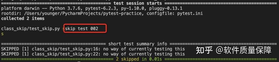 Pytest 5 skip skipif 