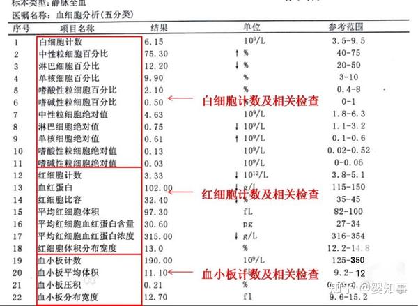 30秒教会你看血常规,细菌、病毒or过敏 知乎