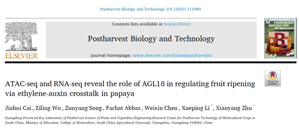 项目文章 | IF>6! ATAC-seq联合RNA-seq揭示转录因子AGL18通过乙烯-生长素交互作用调控番木瓜成熟 - 知乎