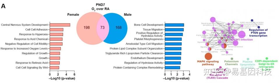 ChIP-seq应用领域、研究思路、数据挖掘、下游实验、实验关键 | 易讲堂 - 知乎