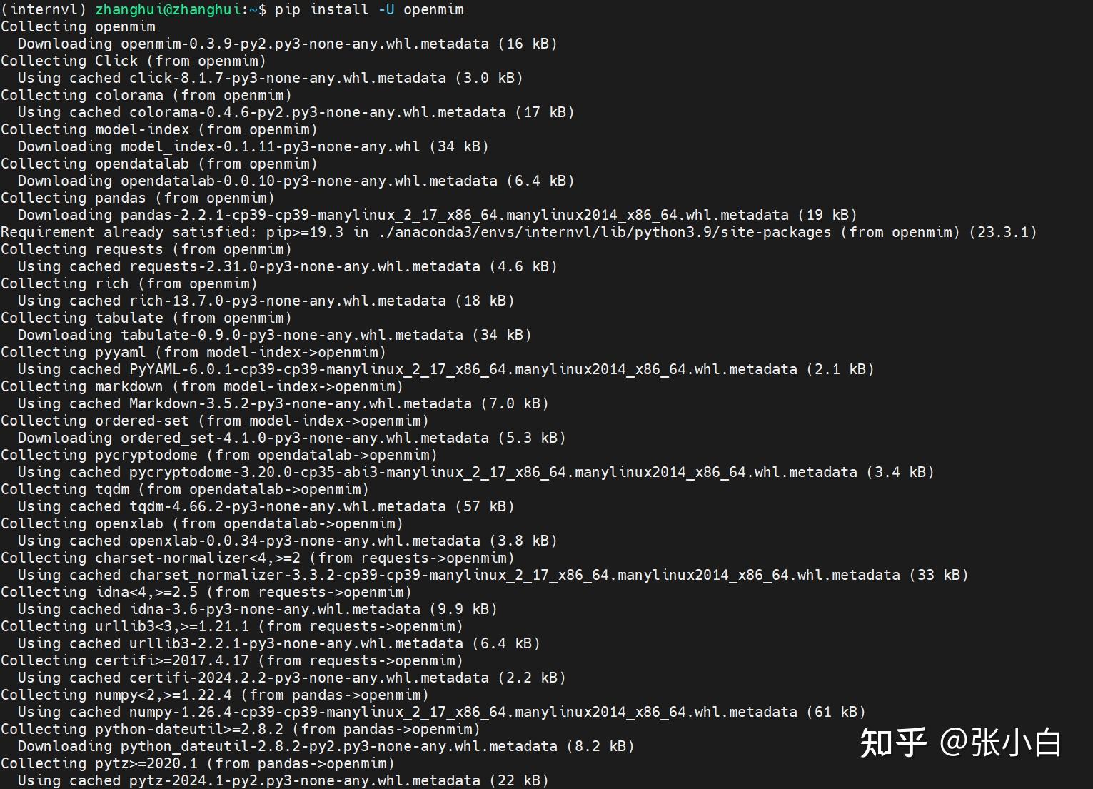 InternVL @WSL2 初体验 - 知乎