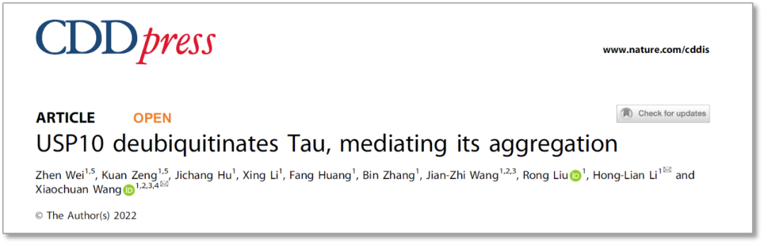 Cell Death Dis︱王小川团队揭示去泛素化酶USP10参与毒性Aβ介导Tau聚集的调控机制 - 知乎