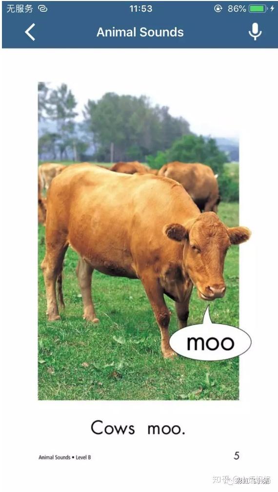 美国版英语分级RAZ APP和国内版ABC Reading 究竟该怎么选？ - 知乎