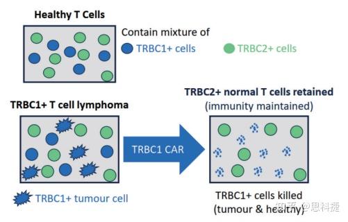 2022 医药魔方转化医学TOP25靶点（三）— 血癌领域相关靶点 - 知乎