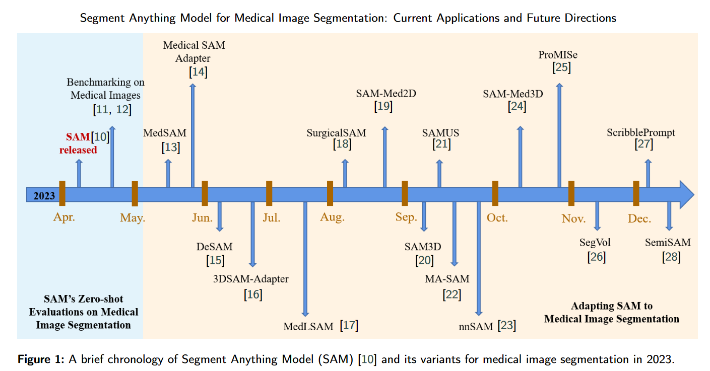SAM在医学影像中的应用（最新） - 知乎