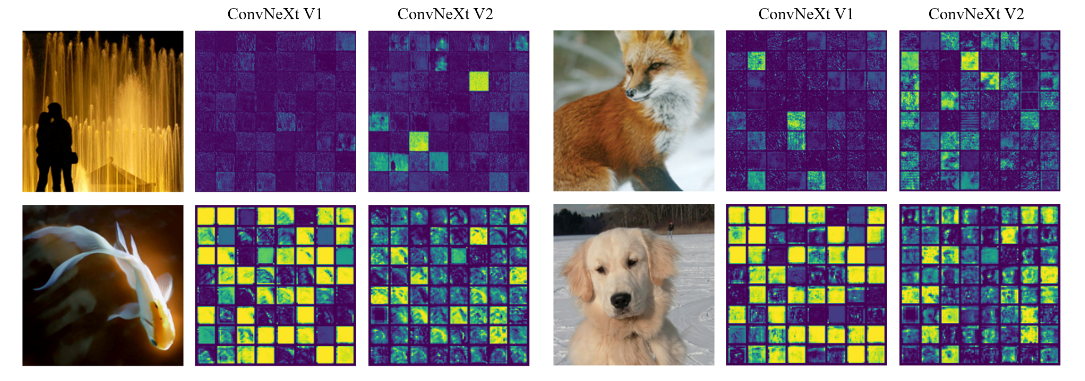 ConvNeXt V2：适应自监督学习，让 CNN “再一次强大”？ - 知乎