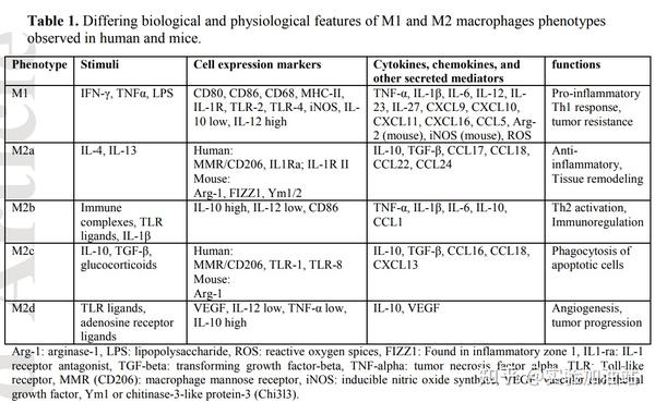 国自然超级热点：巨噬细胞 - 知乎