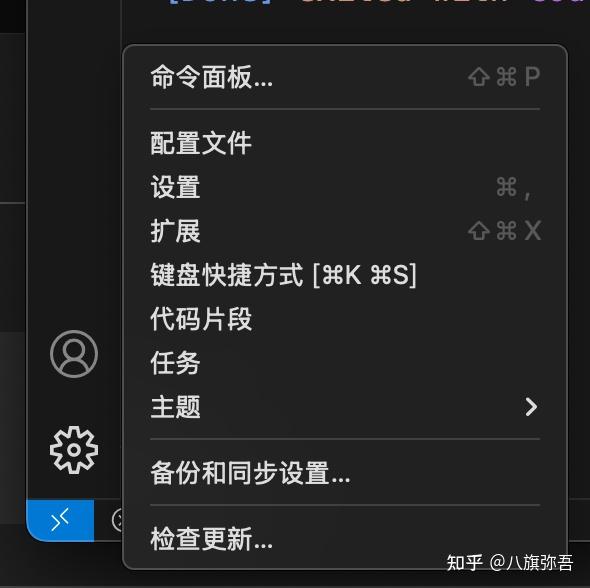 Vscode使用——mac的vscode的c版本锁定在11的解决方法 知乎 6221