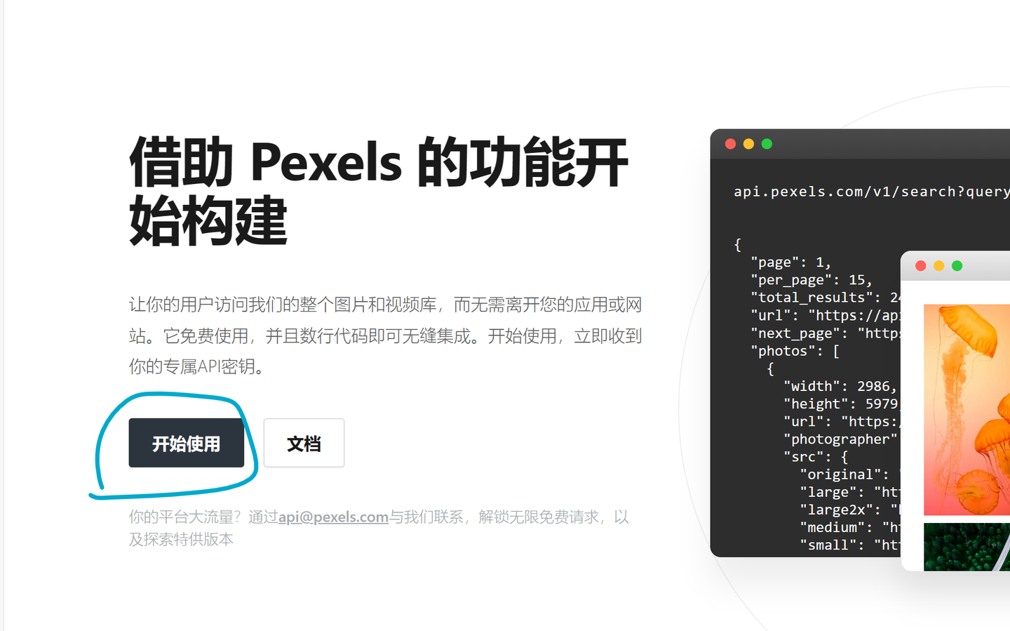 (求助)pexels 申请 api 界面 找不到?我要去哪里看token? - 知乎