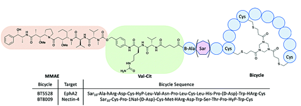 PDC药物的靶向释放原理与代谢产物鉴定研究策略 - 知乎