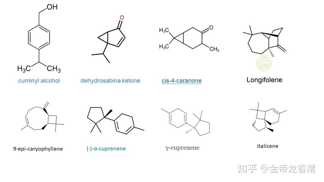 香精与香料(91)—香橼 - 知乎