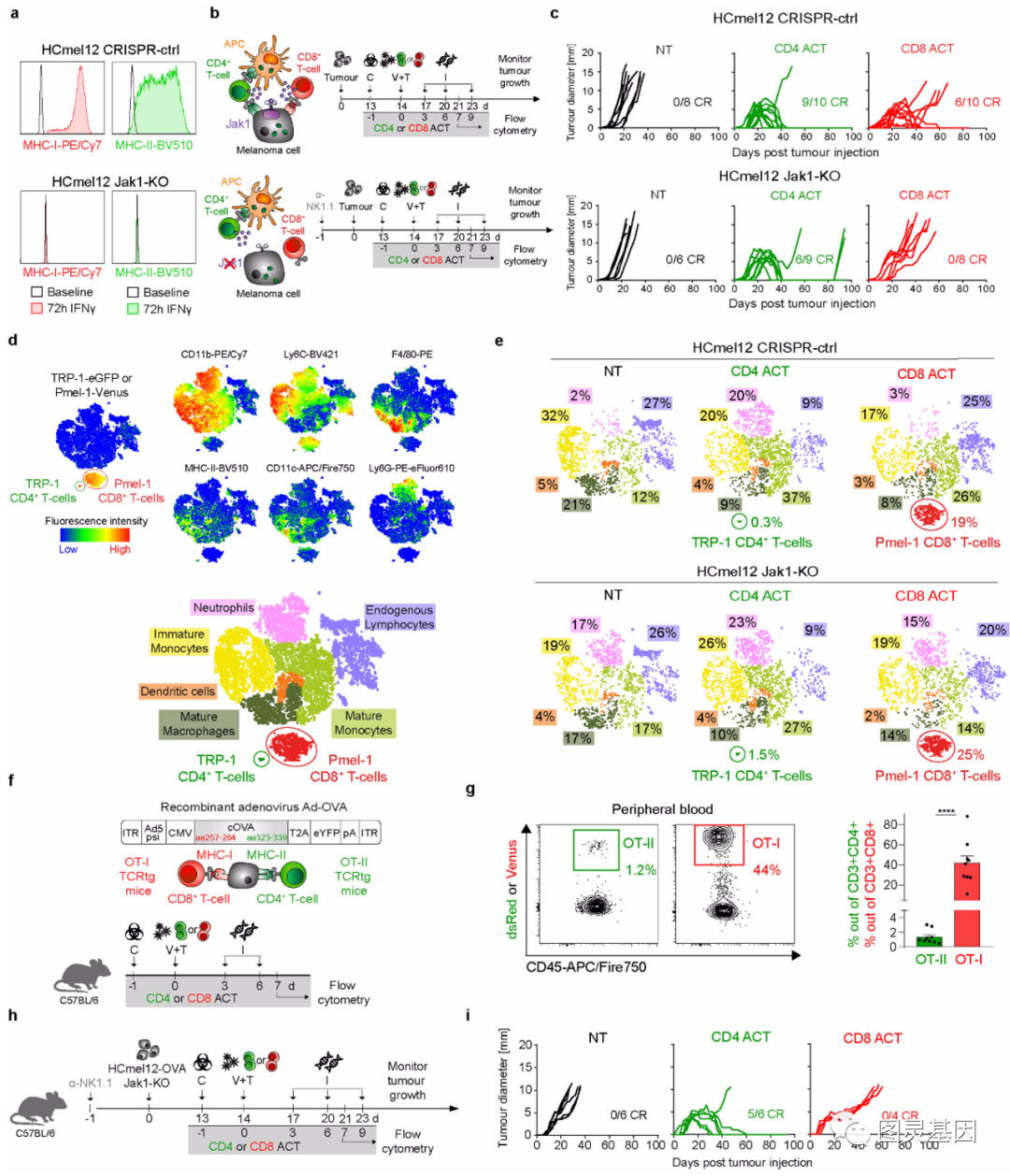Nature | CD4+ T细胞诱导的炎症细胞死亡控制肿瘤免疫逃避 - 知乎