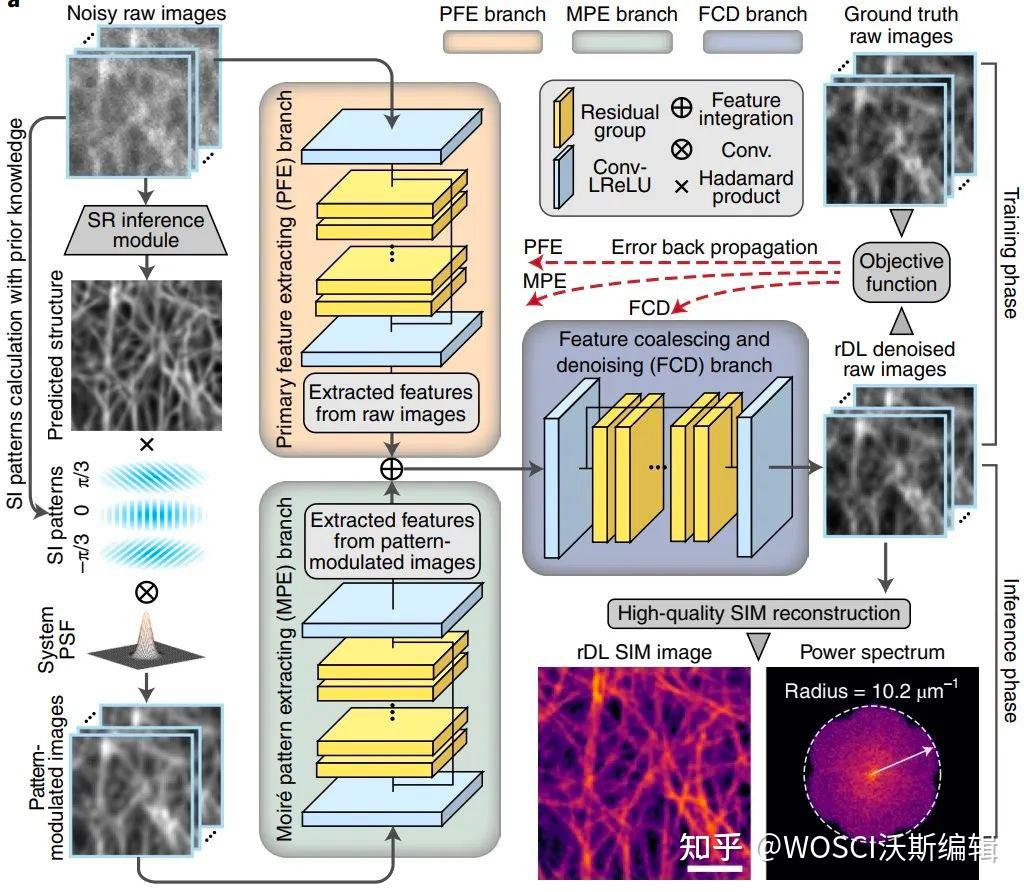 NBT (IF=68) | 再取进展！开发合理化深度学习的超分辨显微成像技术 - 知乎