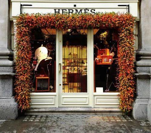 花艺装置艺术家Rebecca Louise Law | 爱马仕的私密晚宴秀翻全场 - 知乎