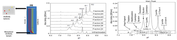 小奕说药 | 单抗药物电荷异构体分析和表征 - 知乎