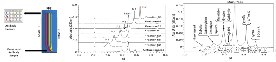 小奕说药 | 单抗药物电荷异构体分析和表征 - 知乎