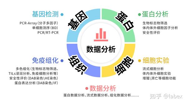 ADC抗体偶练药物MSD分析平台：Cell Based Binding，药物代谢，免疫原性 - 知乎