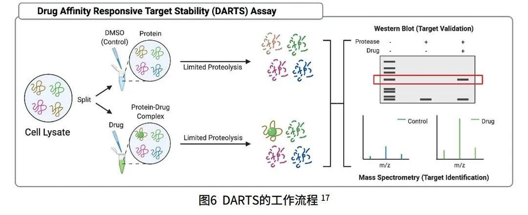 基于蛋白质组学的药物靶点发现新策略 - 知乎