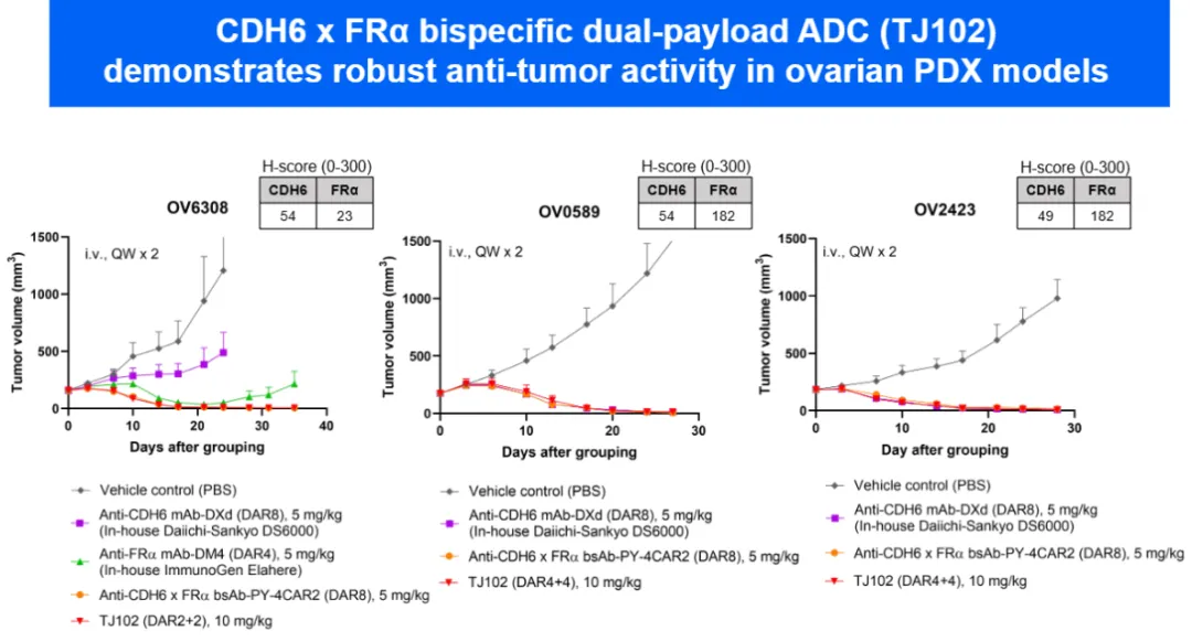 AACR2025：新型叶酸/CDH6双靶点+双毒素ADC克服传统ADC耐药，卵巢癌模型完全消退 - 知乎