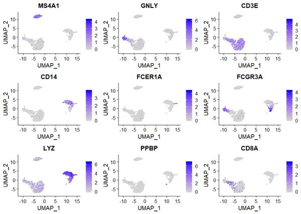 单细胞转录组分析 02 | Seurat 学习 - 知乎