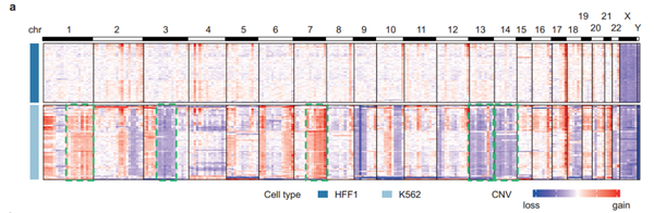 scNanoCOOL-seq: 单细胞多组学测序技术的新里程碑 - 知乎