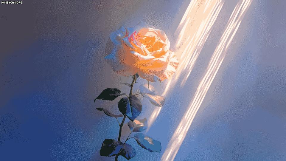 干净简约ins风高清4K电脑锁屏壁纸，手机全面屏壁纸分享 - 知乎