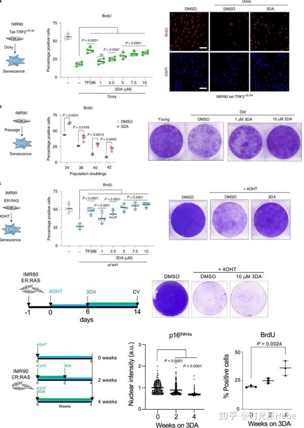 后浪到来，尿苷逢对手？靶向 mTORC1药物开发新思路 - 知乎