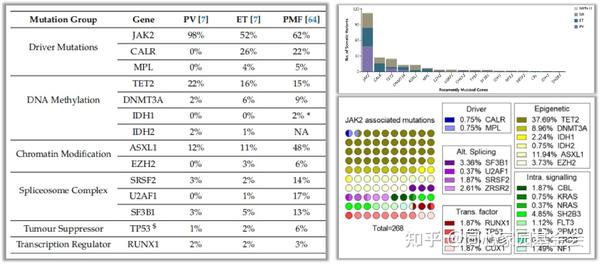 经典型MPN：PV/ET/PMF （1） - 知乎