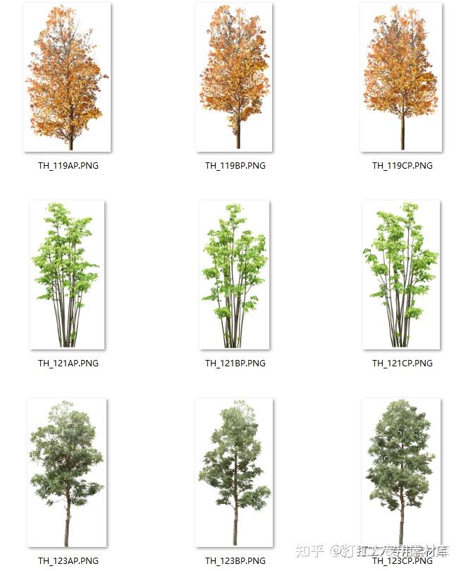 270款超棒的网红小清新手绘风and写实风立面树素材（1.2G） - 知乎
