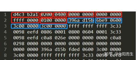 c语言解析pcap文件实例 - 知乎