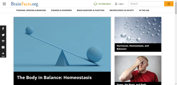 神经科学入门｜来BrainFacts一起了解“大脑那些事儿” - 知乎