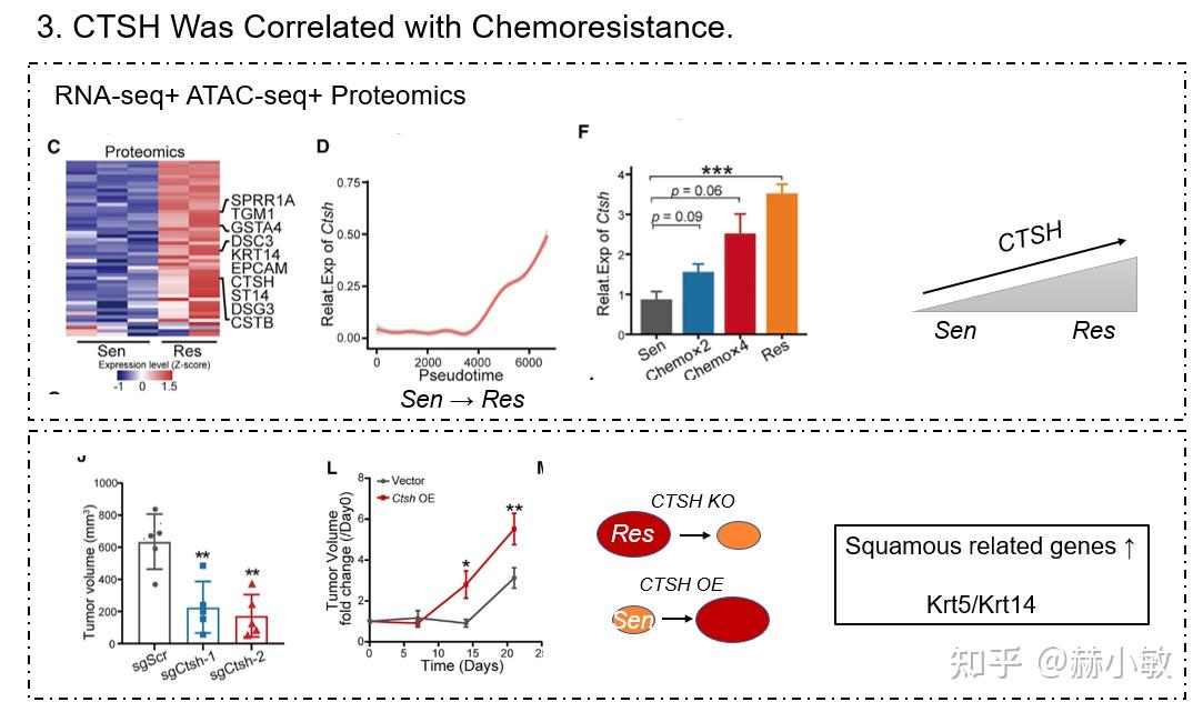 一期一会|2022年9月Cancer Cell 好文推荐 - 知乎
