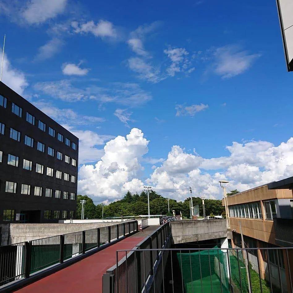 SGU项目2023年秋季入学申请 | 筑波大学（学部） - 知乎