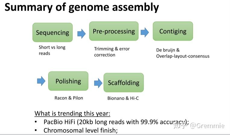 从头全基因组组装De novo whole genome assembly - 知乎