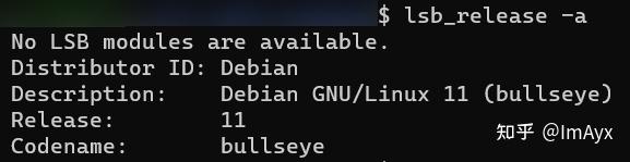 使用 lsb-release 命令查看 Debian 版本 - 知乎